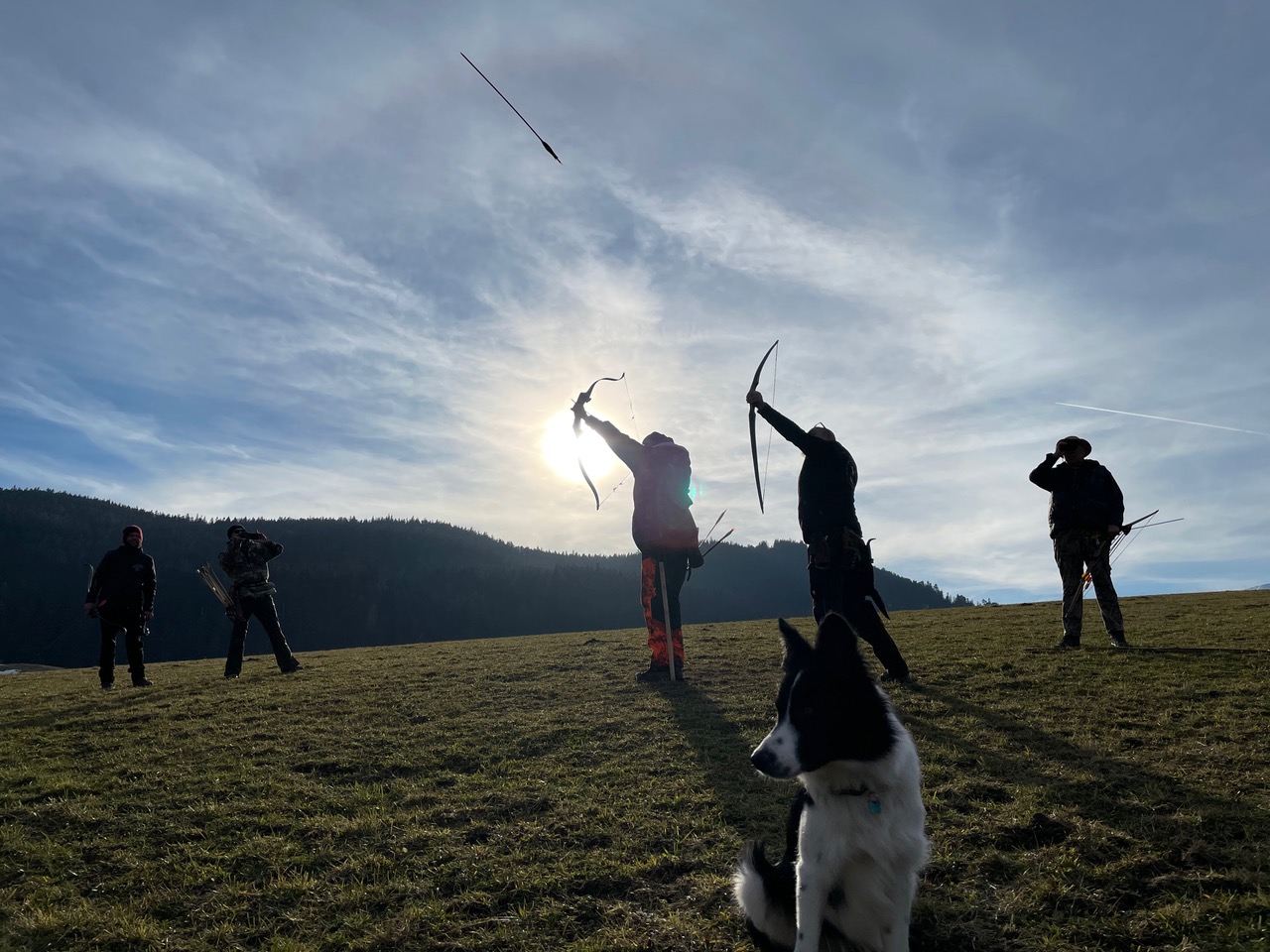 3D- Bogenparcours - Gemeinde Puchberg am Schneeberg | Gemeinde Puchberg ...